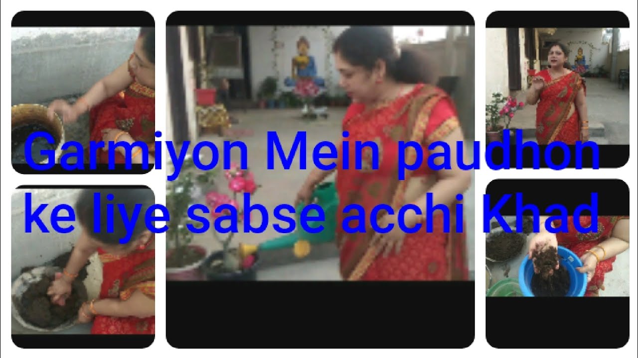 garmiyon Mein paudhon ke liye sabse acchi Khad - YouTube