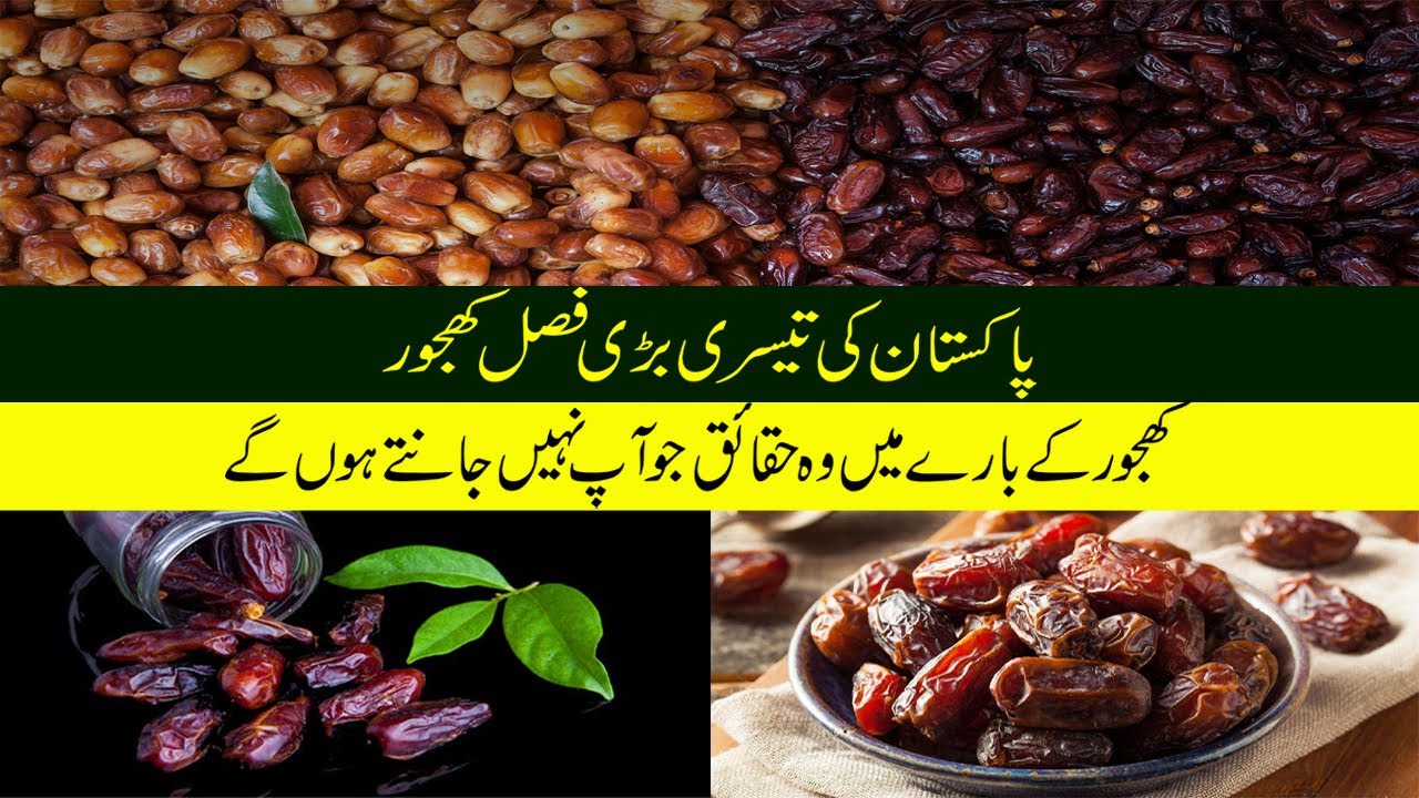 Pakistan Dates Fruit Productions Documentary - YouTube