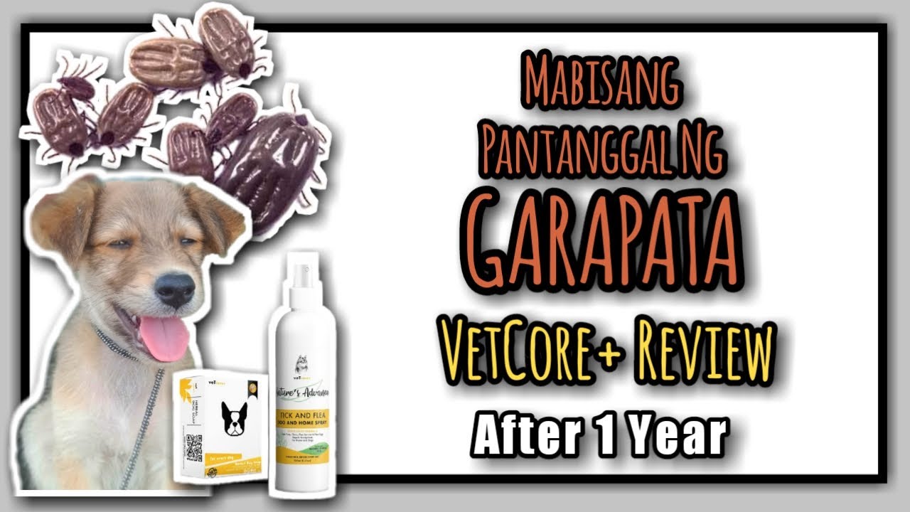 GARAPATA || Mabisang Pantanggal ng Garapata || VetCore Plus Review 1 ...