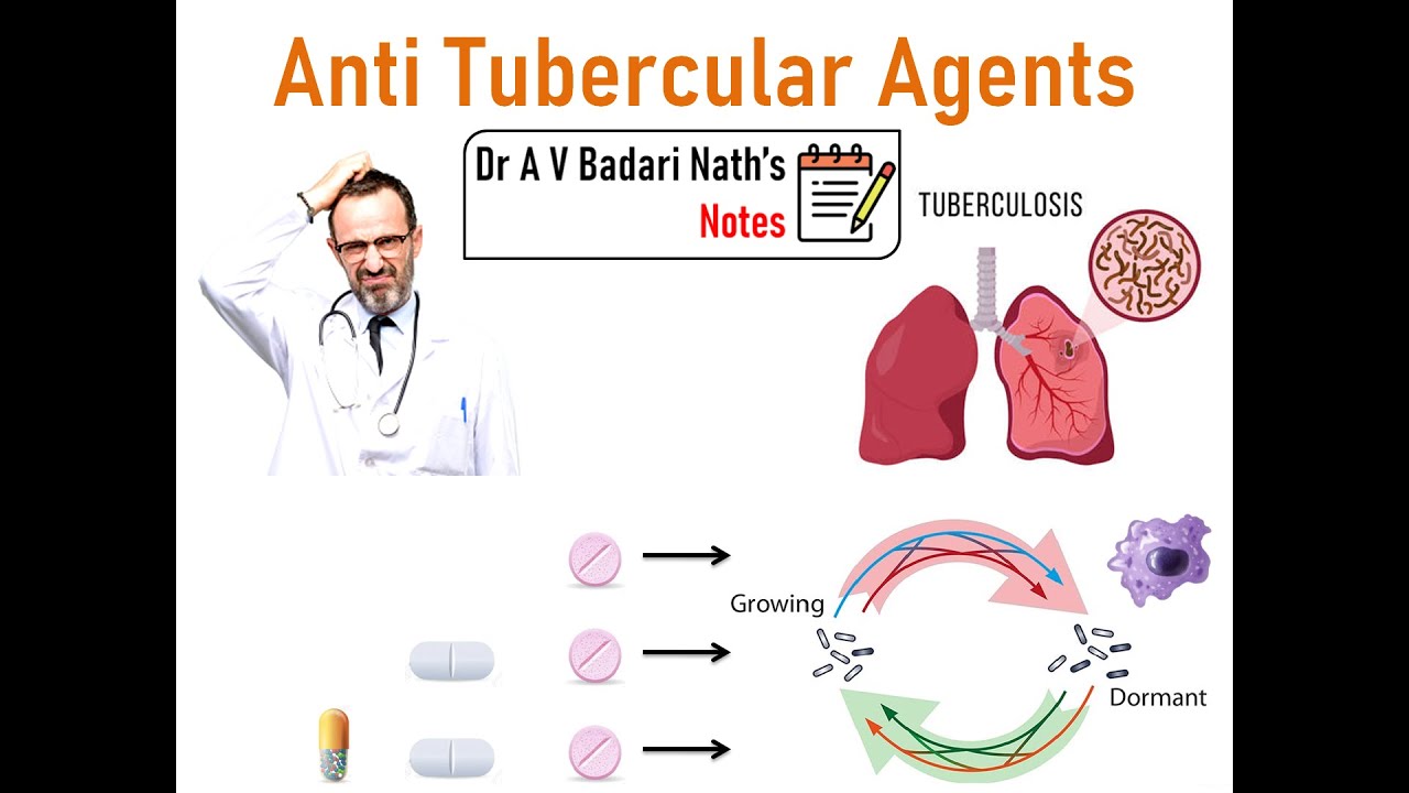 Anti Tubercular Agents (Drugs Used To Treat Tuberculosis) - YouTube