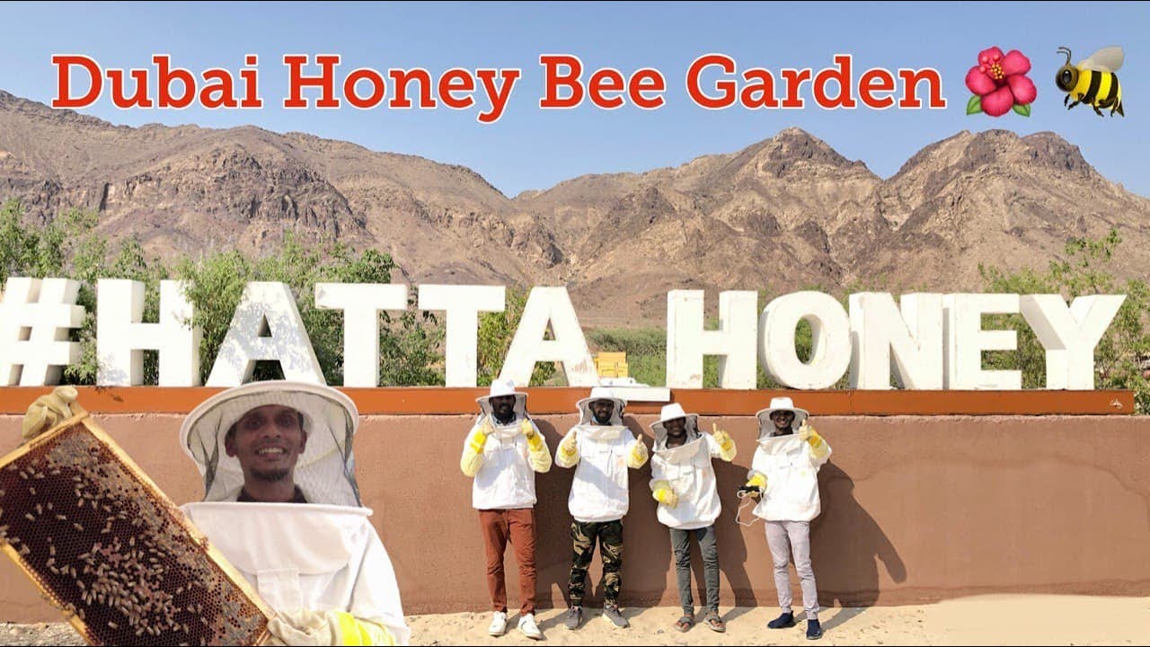 Hatta Honey Bee Garden | Dubai 🌺 🐝| Middle East’s first queen bee ...