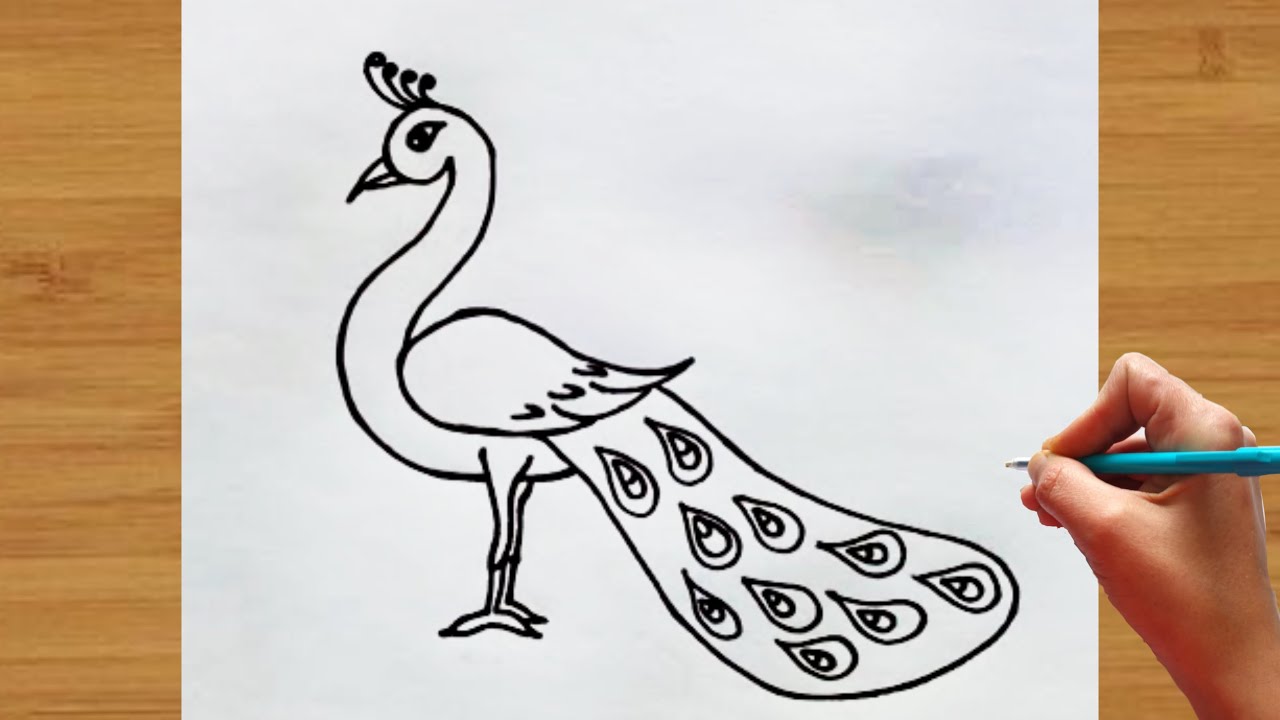 PEACOCK DRAWING EASY| Easy pencil drawing| Bird drawing easy - YouTube