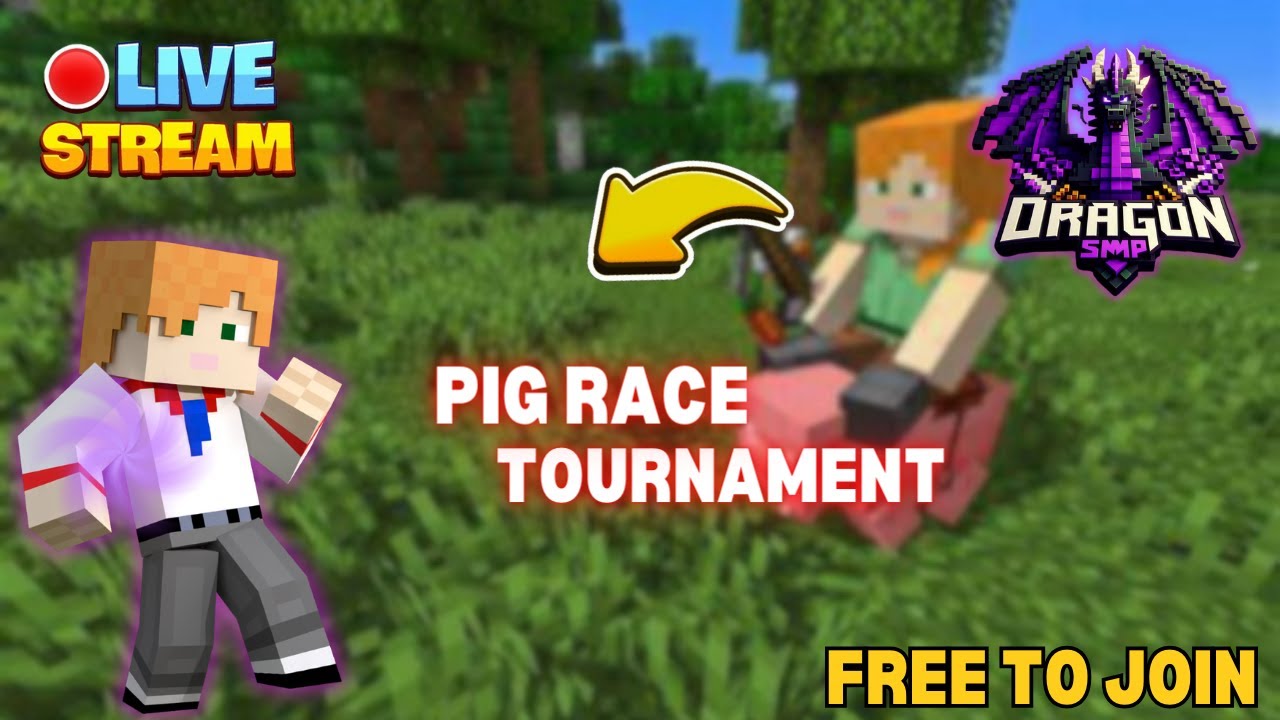 🔴Minecraft SMP LIVE || PIG RACE TOURNAMENT IN DRAGON SMP 24/7 ONLINE || FREE TO JOIN - YouTube