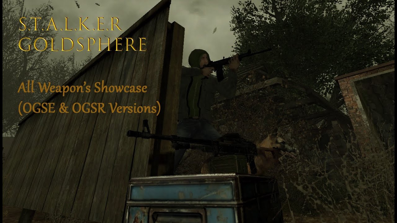 S.T.A.L.K.E.R. Goldsphere: ALL WEAPONS SHOWCASE (OGSE & OGSR) - YouTube