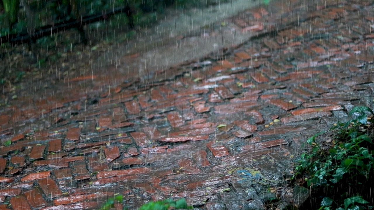 Heavy Wind & Rainstorm Rain Sounds on the Village Road - YouTube