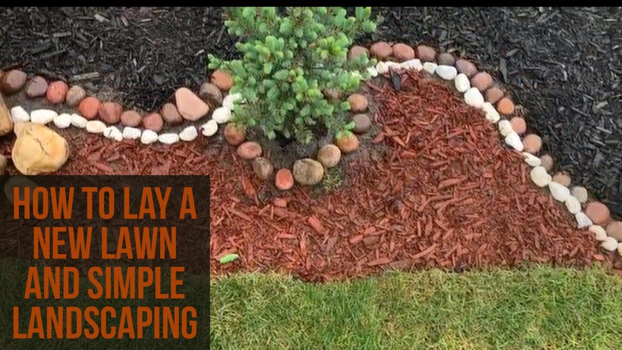 How to Lay a New Lawn - A Step by Step Guide - YouTube