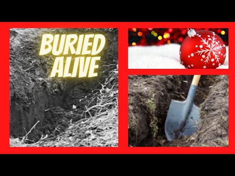 Kidnapper Became U.S. Doctor. Co-ed Abducted - Barbara Mackle - Gary ...