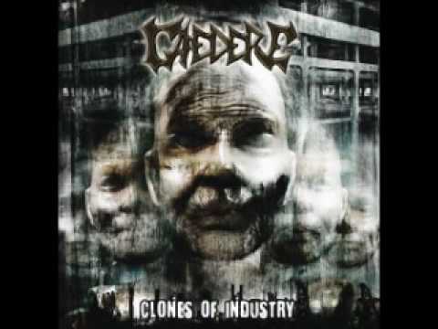 Caedere - Mock The Mob - YouTube