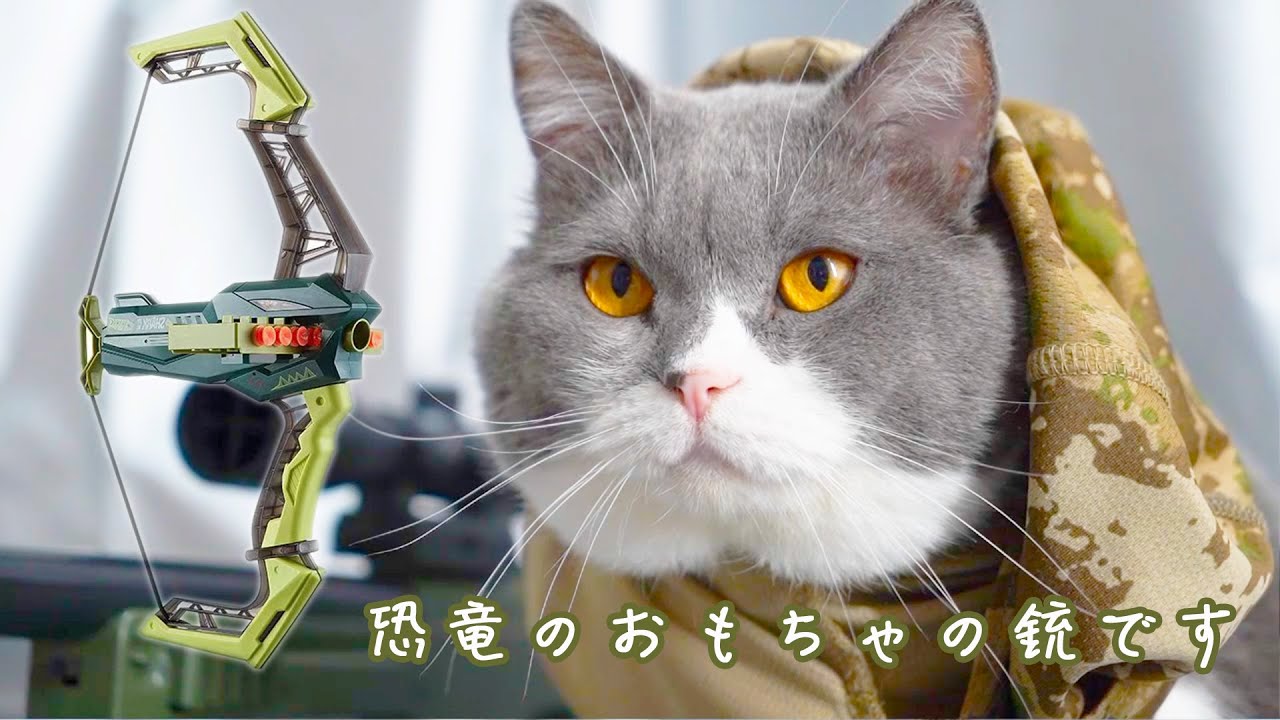 Cat VS Crossbow😼GOOD SHOT🐭射撃を開始する |Funny Cat Reaction Video👽 - YouTube