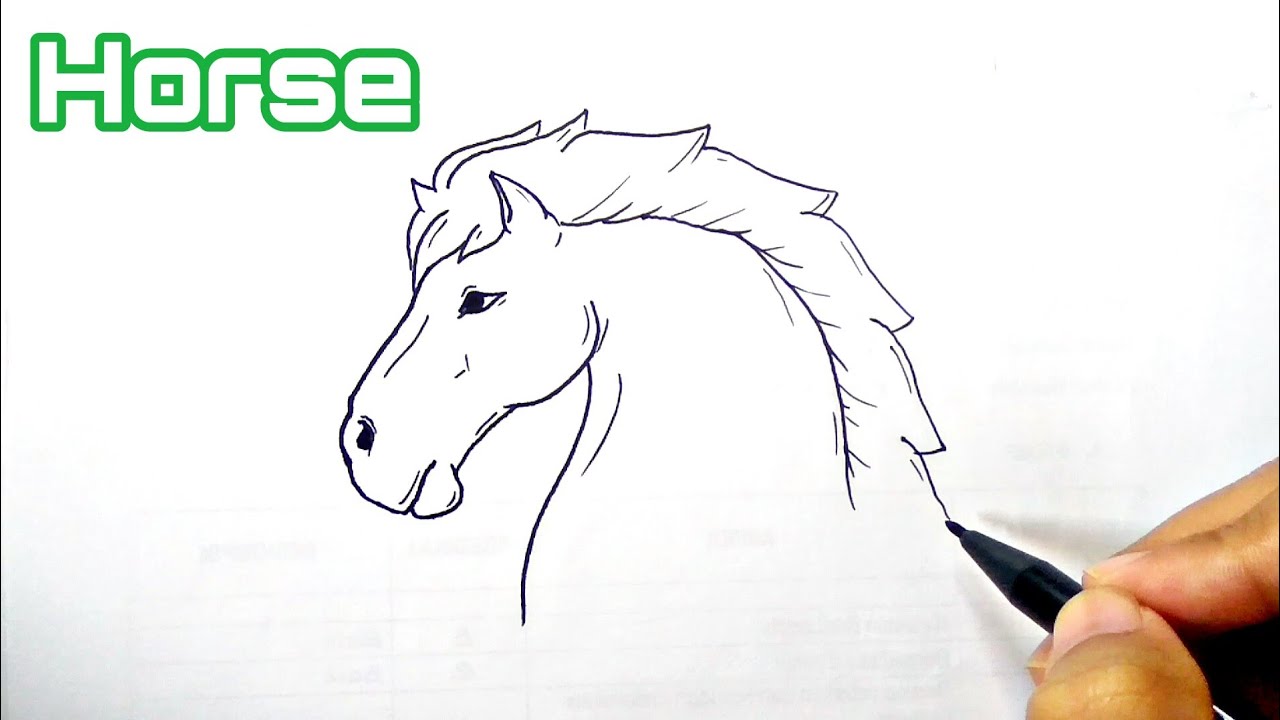 how to draw Horse head | easy drawing tutorial - YouTube