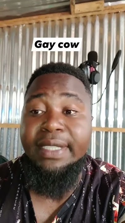 Gay cow - YouTube