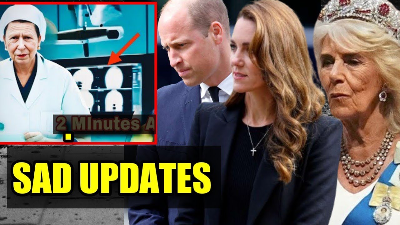 Princess Anne scary head damage after a head scan by doctor left ...