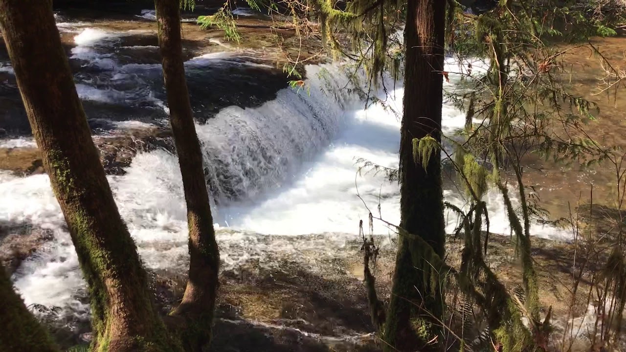 Sweet Creek Trail waterfalls - Video 6 - YouTube