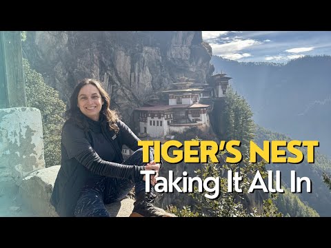Tigers Nest - Taking It All In 