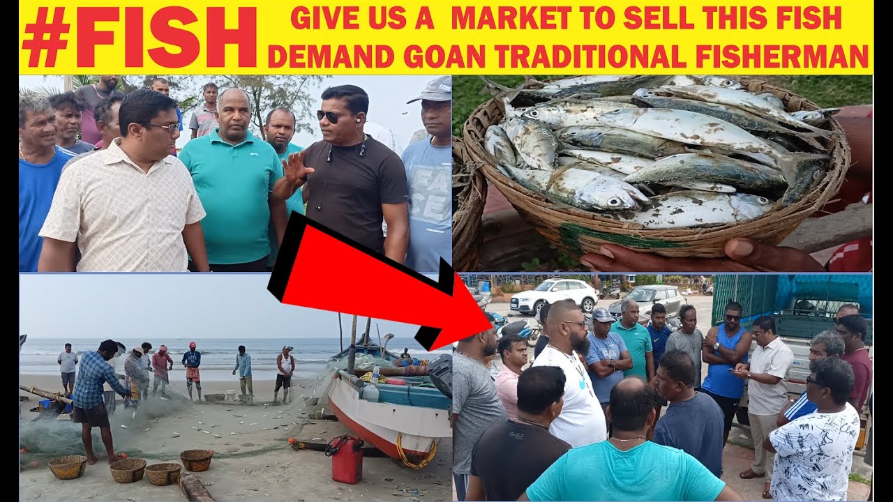 #helpus GIVE US MARKET TO SELL FISH, DEMAND GOAN TRADITIONAL FISHERMAN ...