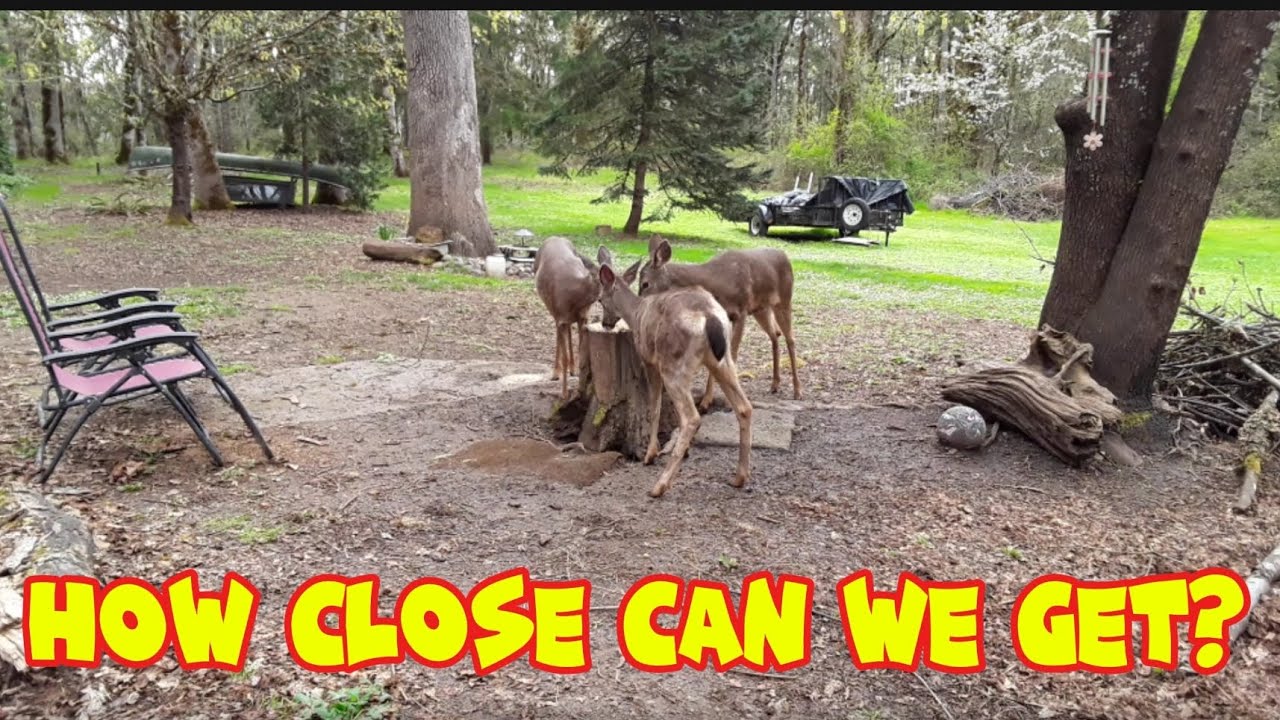 How Close Can We Get? - YouTube