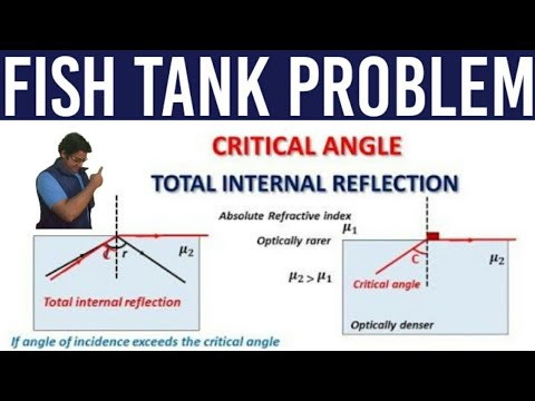 Fish in tank (TIR) by Sanjaya Rath @ keyphysics.com - YouTube