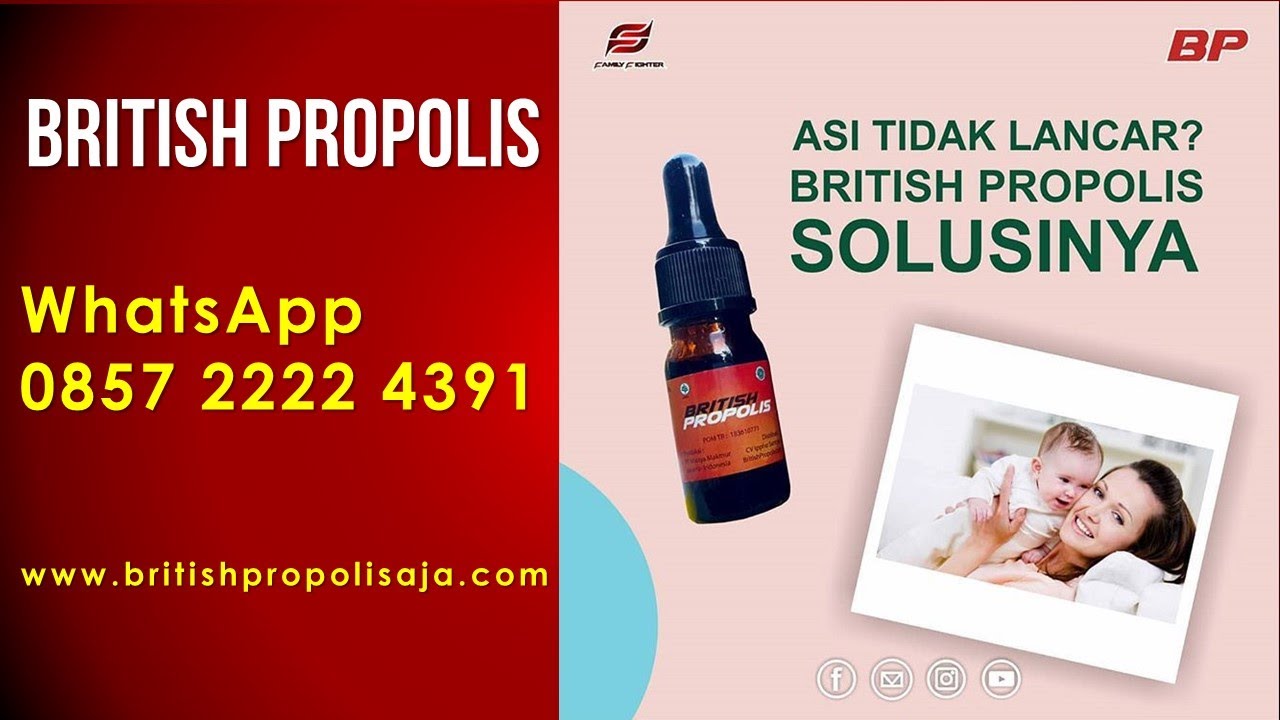 british propolis manfaat dan efek samping - YouTube
