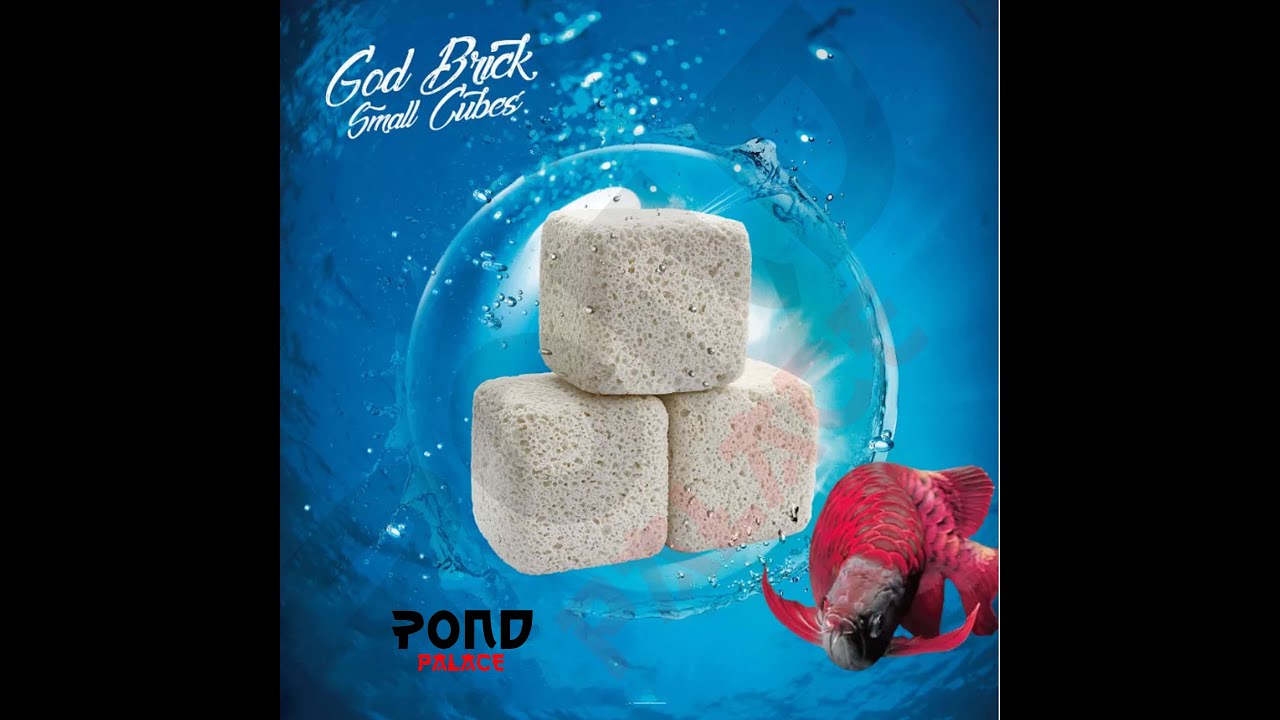 God Brick Cube Bio Filter Media Nitrit Bacteria House Isi 32 Cubes ...