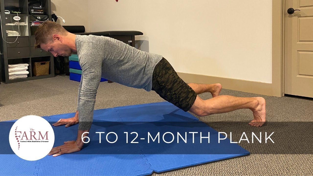 DNS 6 Month to 12 Month Plank (Dynamic Neuromuscular Stabilization ...