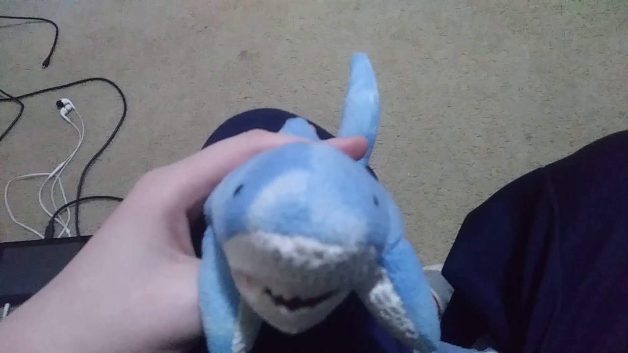 The Cursed Shark Plush - YouTube