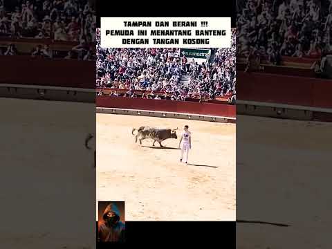 🔥 Banteng kalah sama pemuda ini  #short #unik #hewan