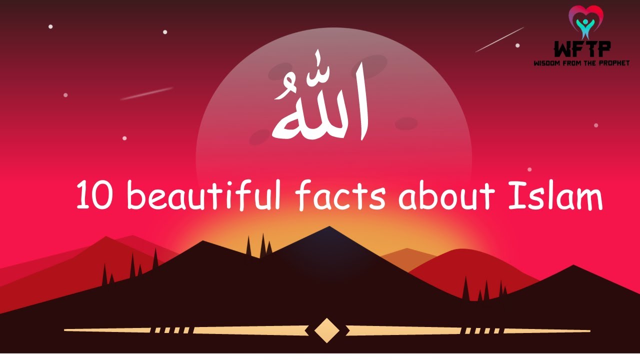 10 beautiful facts about Islam | The beauty of Islam #islam # ...