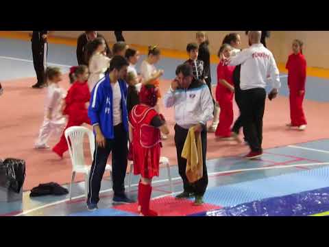 Semih KAVAK 2017 Wu Shu Istanbul şampiyonası