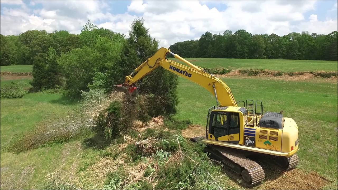 A Tree Eating Machine!!! - YouTube
