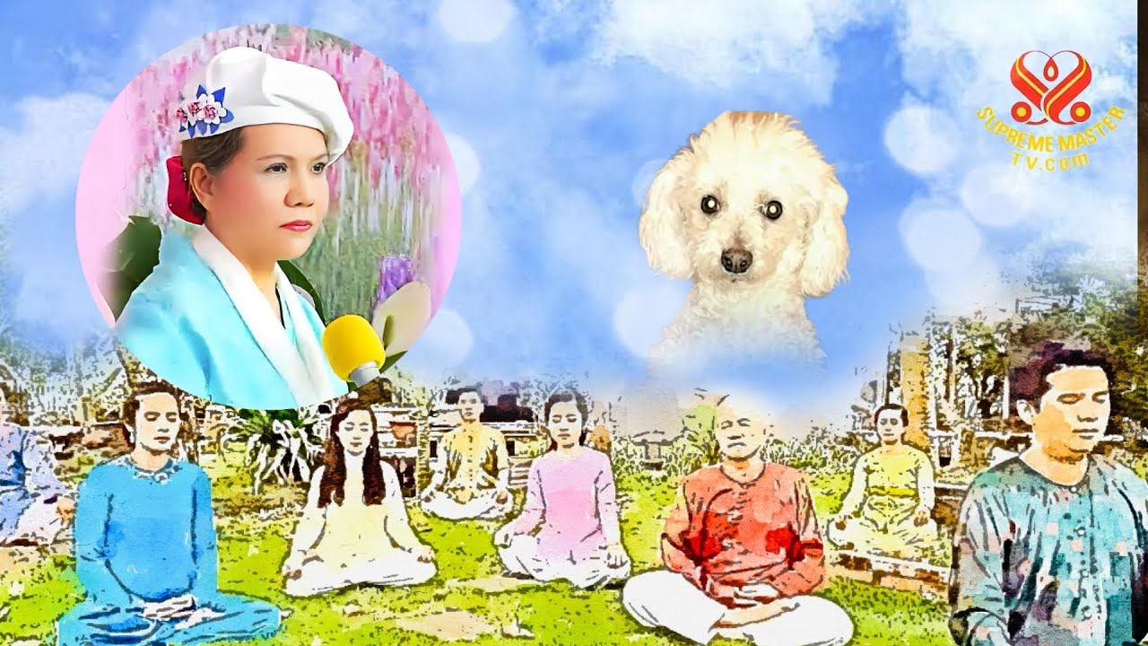 [Heartline] Tim Qo Tu의 새 영적 세계로 올라간 몰리 - 미국의 애셔 Molly Lifted up to Tim ...