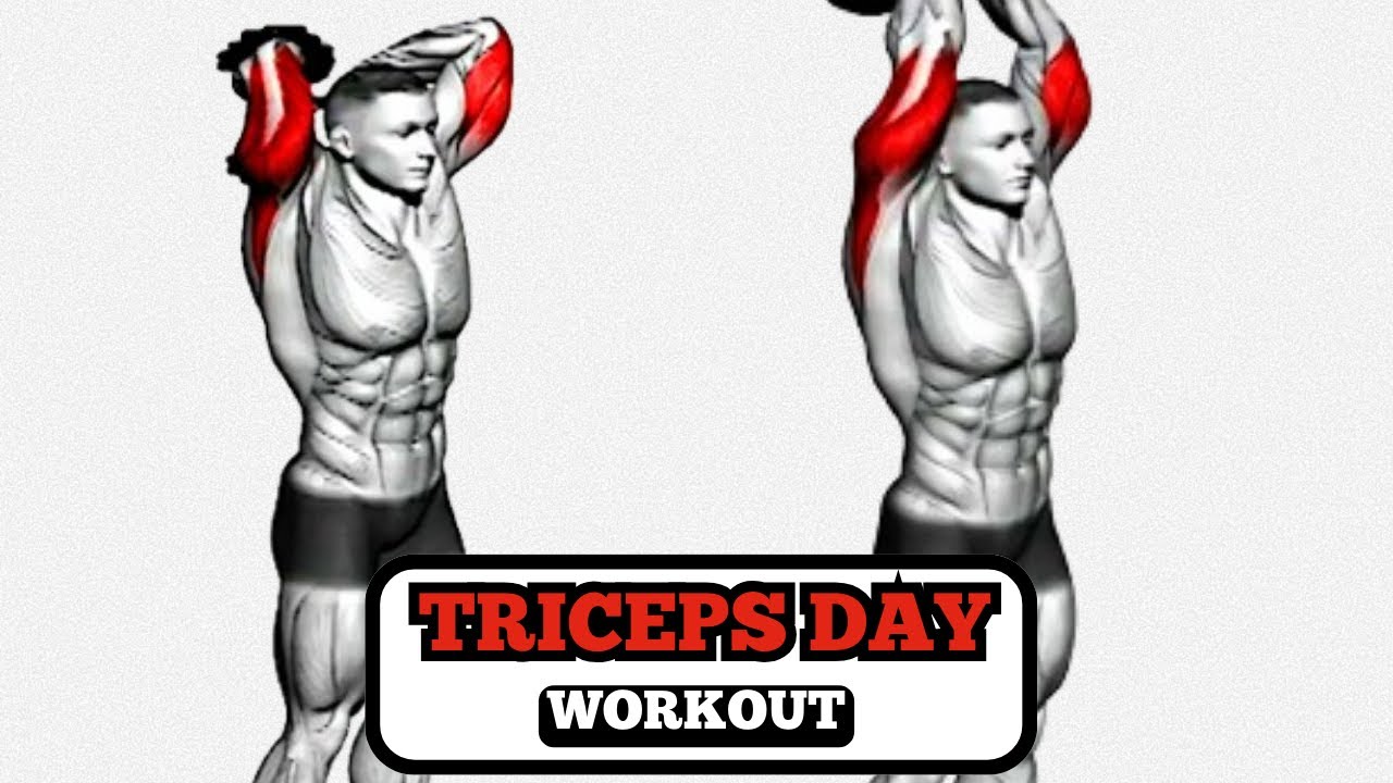 Week 11 Day 4 | Build Massive Triceps for Stronger Arms - 2WORKOUT ...