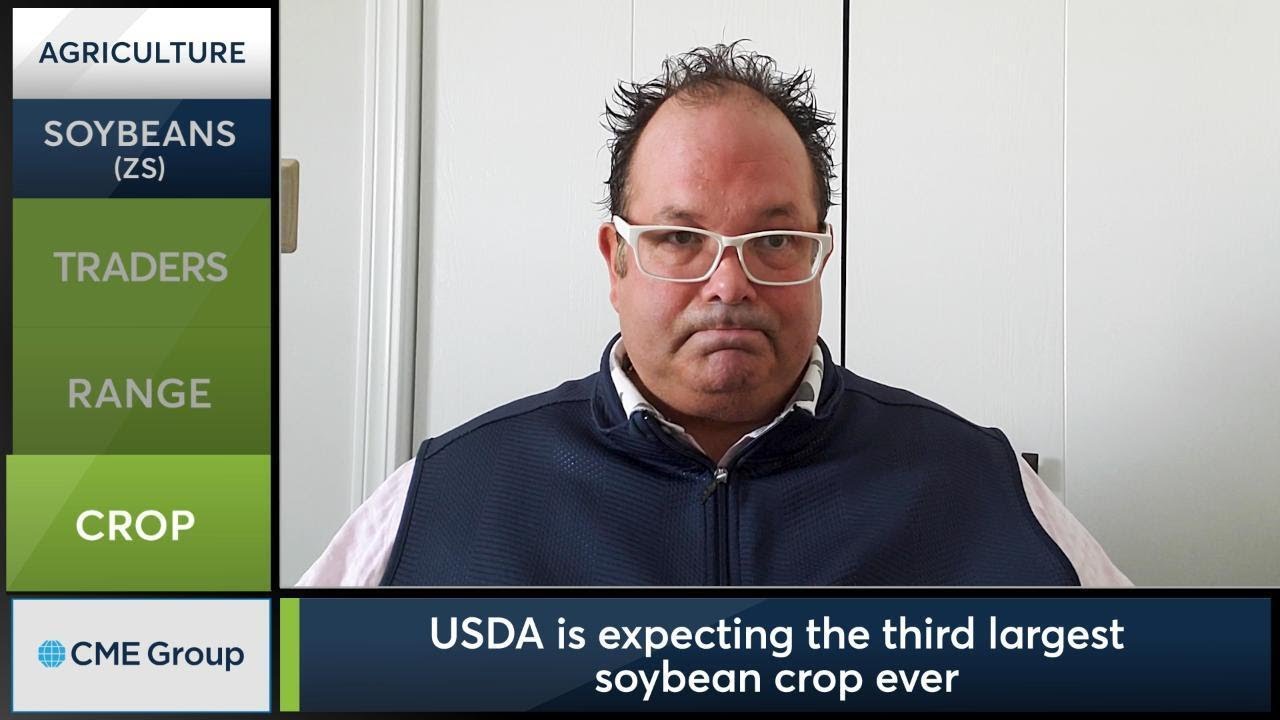 September 17 Grains Commentary: Scott Shellady - YouTube