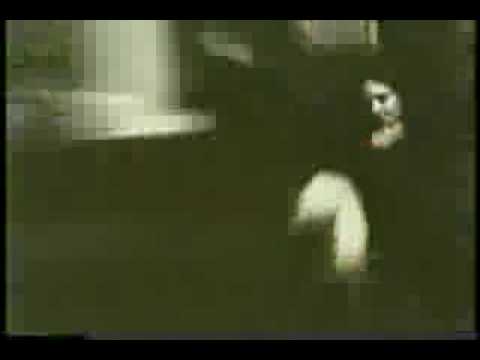 Pop Tarts - Animation.flv