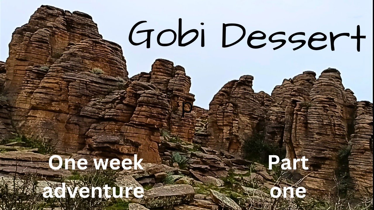 The Gobi Dessert. Mongolia July 2024. Part one. - YouTube
