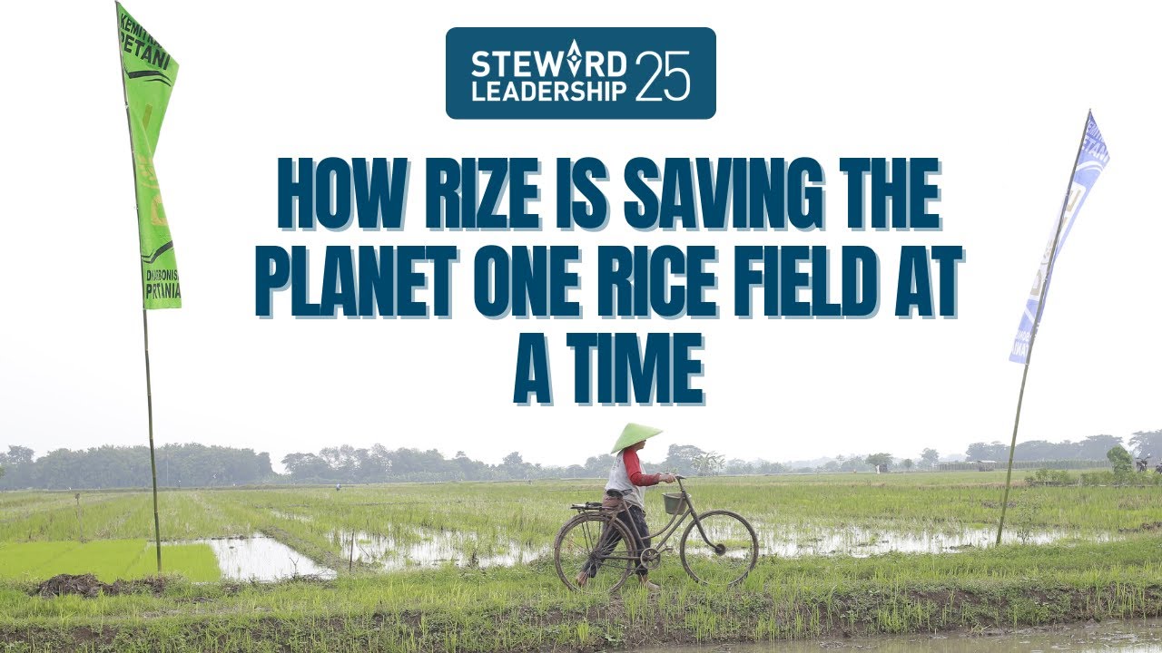 How Rize is Saving the Planet One Rice Field at a Time | SL25 Winner ...