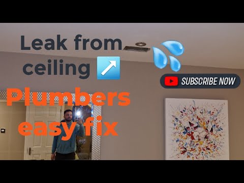 Leaky Ceiling Meme | Shelly Lighting