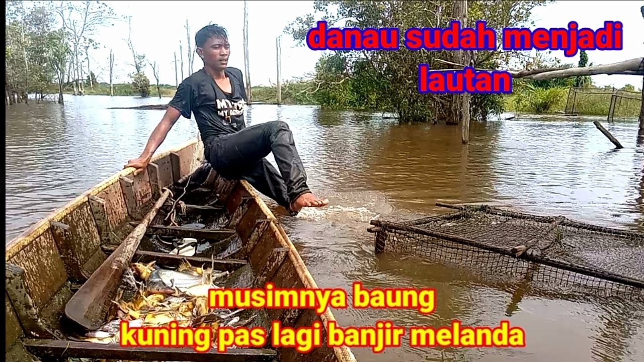 WOW BANJIR IKAN DI PENGILAR BELAT PANJANG 120 METER - YouTube