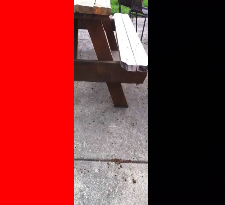 My Latest Video prepared by Splimage - YouTube