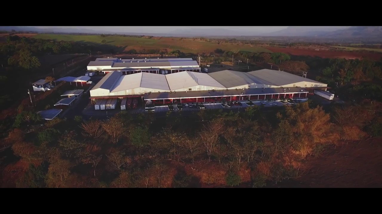Vídeo Institucional Grupo GARAN Incorporated - YouTube