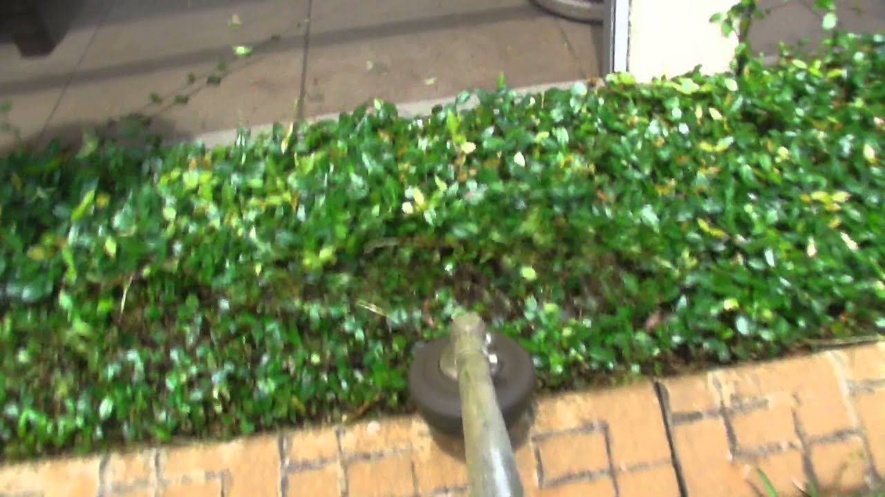 Weed Whacker Cam 2 - Trimming Ground Cover ASMR - YouTube