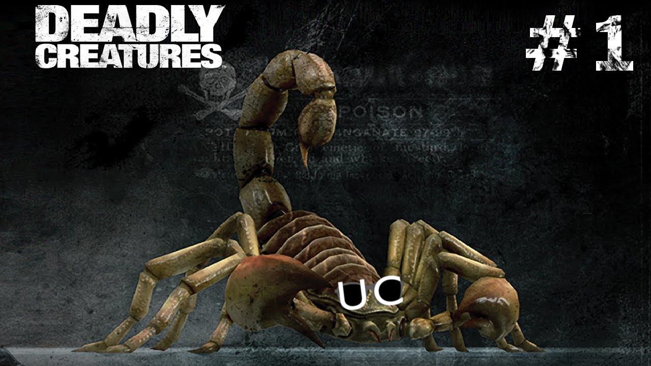 Undead Stream / Deadly Creatures (Wii / Blind) Part #1 - YouTube