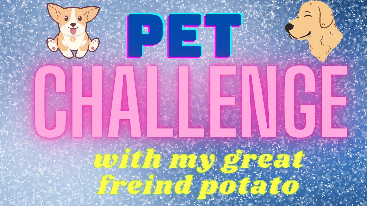 the pet challenge #pets #Shorts #animalsrule - YouTube