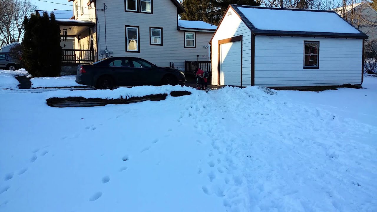 Poaching Meme's Back Hill - YouTube