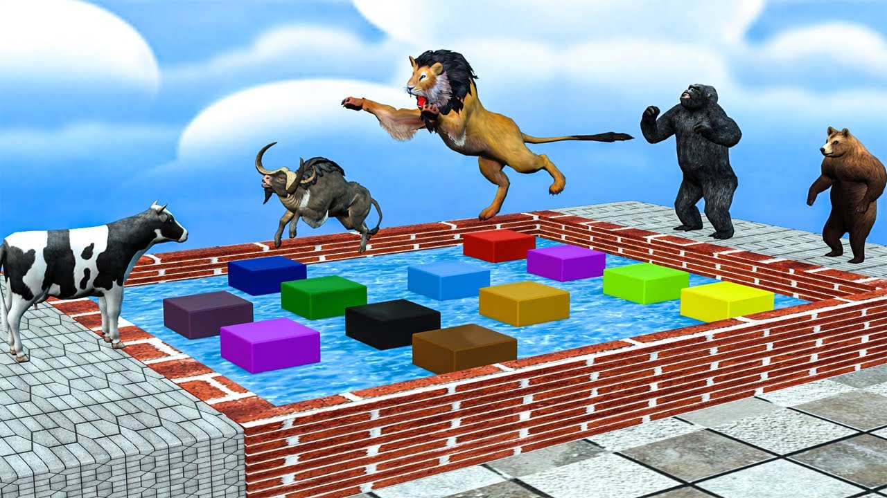Wild Animals Gorilla,Dinosaur, Lion, Tiger, Jump On Color Box Over ...