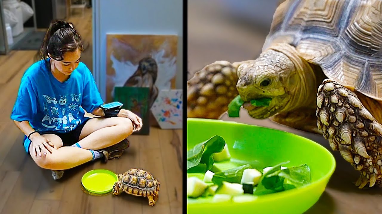 Maya & Kayla feed and paint with Push Pop at Alveus - YouTube