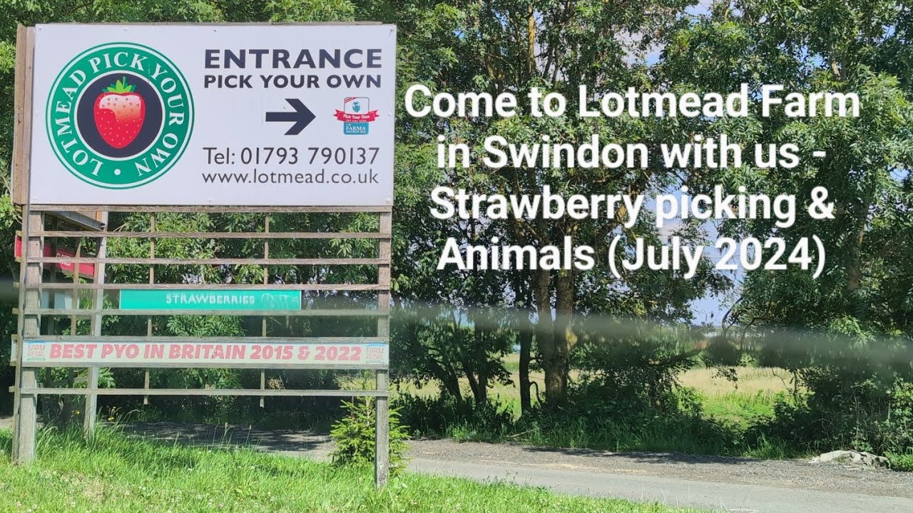 Come to Lotmead Farm in Swindon with us - Strawberry picking & animals ...