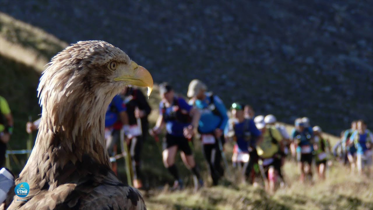 UTMB 2015 - Eagle's Point of View / Flight Over UTMB - YouTube