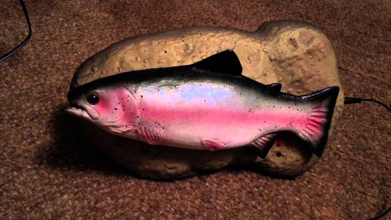 TRAVIS THE SINGING TROUT *** (Singing Fish) - YouTube