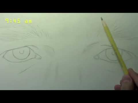 Şukur Sənə Allahim