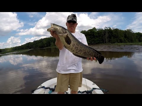 Another Fine Day Bowfishing for Potomac River Snakeheads! - YouTube